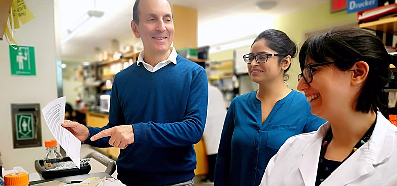 Dr. Daniel Drucker honoured with 2020 Baxter Prize for diabetes impact ...