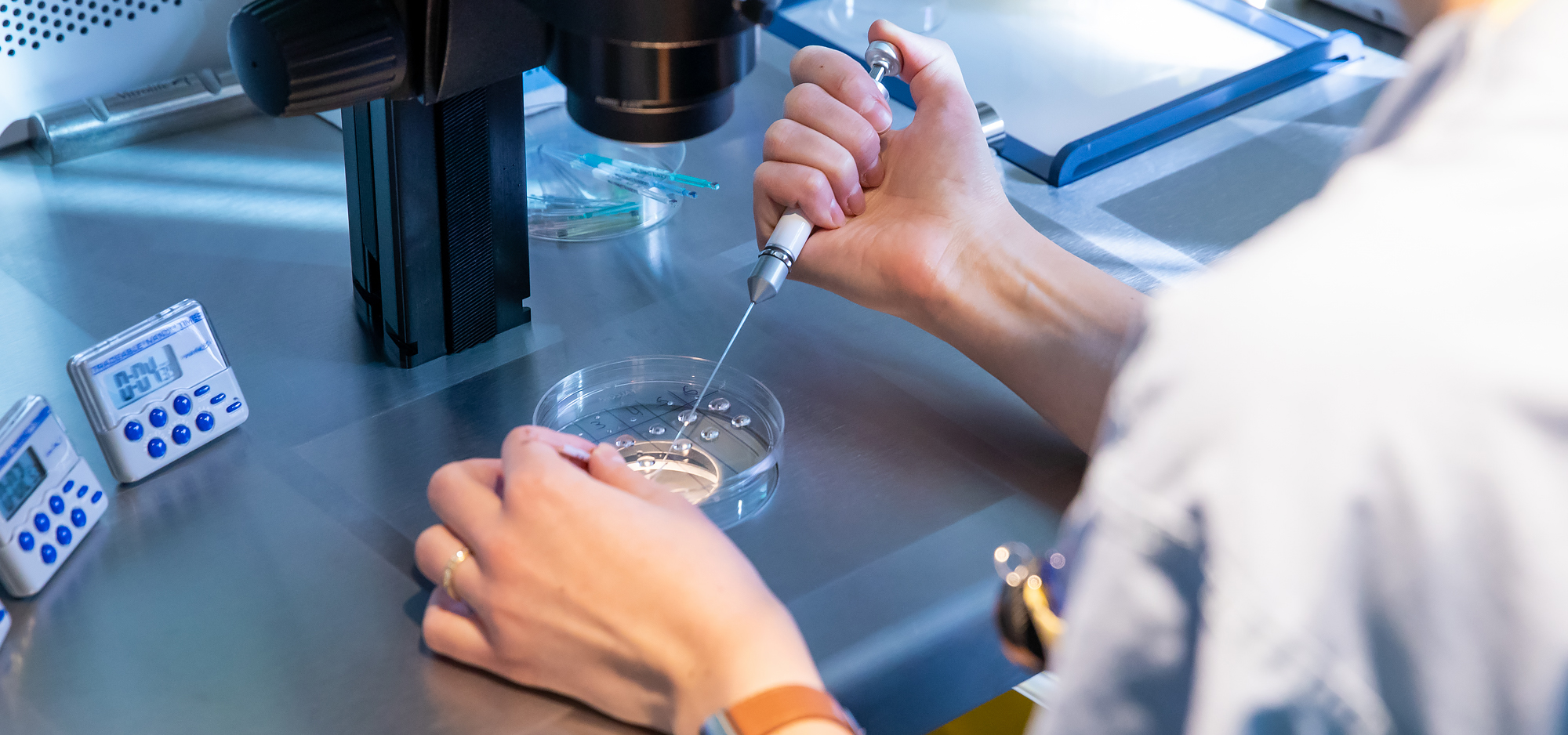 Study shows potential for AI to transform fertility treatments | Sinai ...