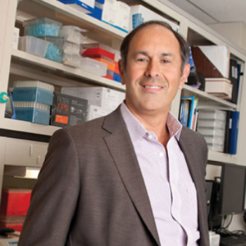 IBD research: Three perspectives | Sinai Health
